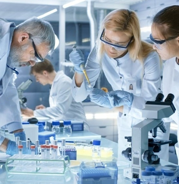 Medical & Scientific Writing – WESTERN